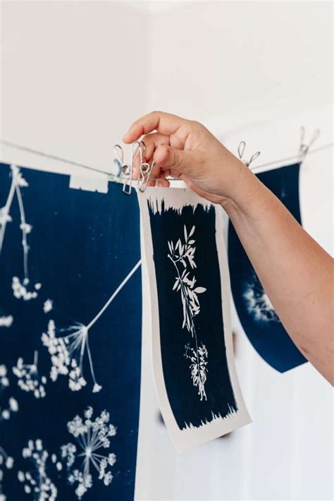 Get Started With Cyanotype Printing In A Weekend The Beginners Guide To Cyanotype Printing