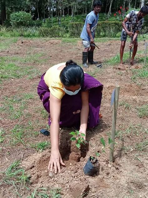 රුක් රෝපණ වැඩසටහනක් කලුතර District Media Unit News