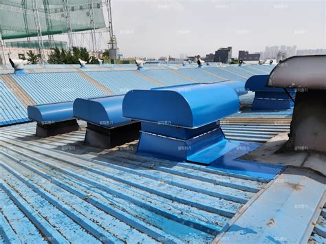 파워루프팬 공장 지붕 설치 동력팬 환풍기 시공사례