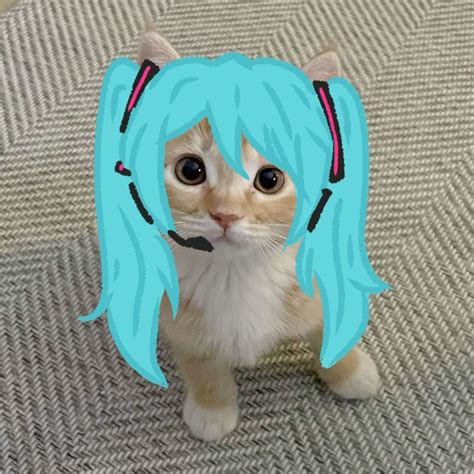 Hatsune Miku Cat