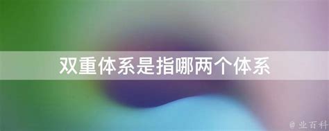 双重体系是指哪两个体系 业百科