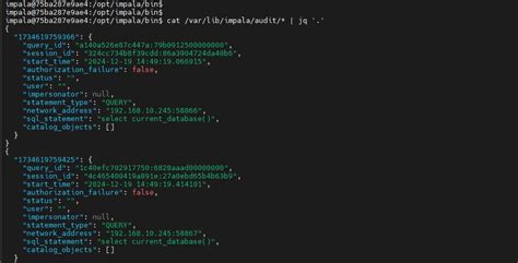 Impala Database Activity History Native Auditing And Advanced Tools