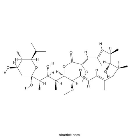 Bafilomycin A1 Cas 88899 55 2 V Atpase Inhibitor Selective And Reversible High Purity