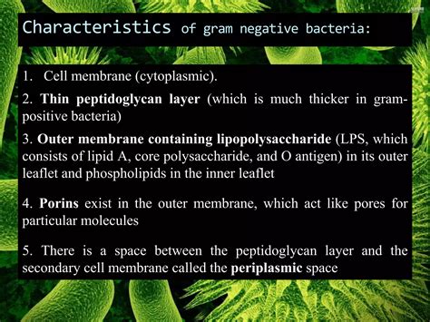 Gram Negative Bacteria Pptx