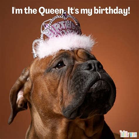 My Birthday Memes Funny