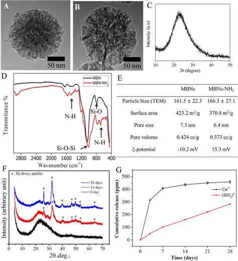 Characteristics Of Mbns Before And After Amination Transmission