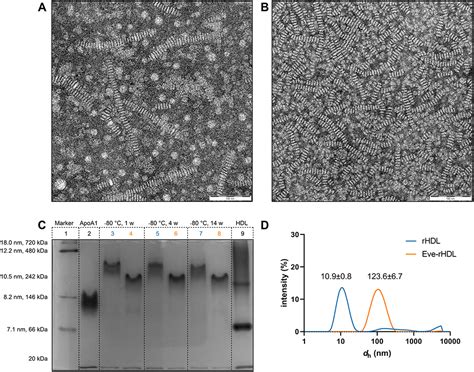 Drug Loaded High Density Lipoprotein Ijn