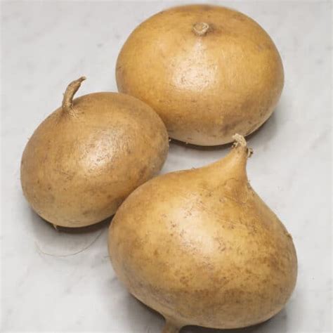 Jicama Singkamas Recipes By Nora