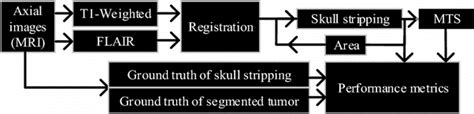 schematic diagram of the proposed method for adaptive skull stripping