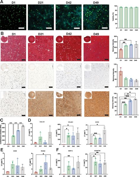 Biofabrication Of Heterogeneous Multi‐layered And Human‐scale Tissue Transplants Using Eluting