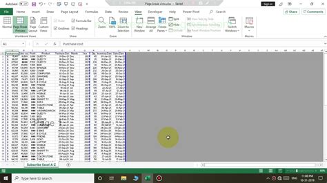 Page Break View And Print Preview To Print Data As Required In Ms Excel 2019 Office 365 Youtube