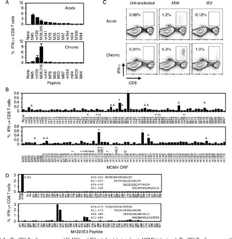 Figure 3 From Four Distinct Patterns Of Memory CD8 T Cell Responses To Chronic Murine