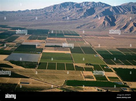 What Is Grown In The Imperial Valley At Jack Goodman Blog