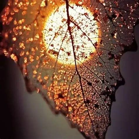 Jai Surya Posted On Linkedin