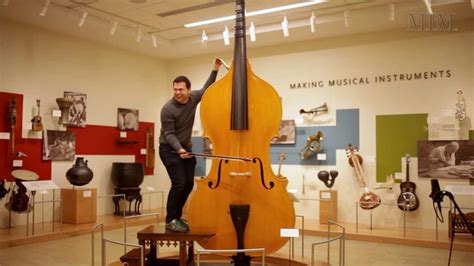 The Octobasse An Enormous String Instrument That Can Play Frequencies