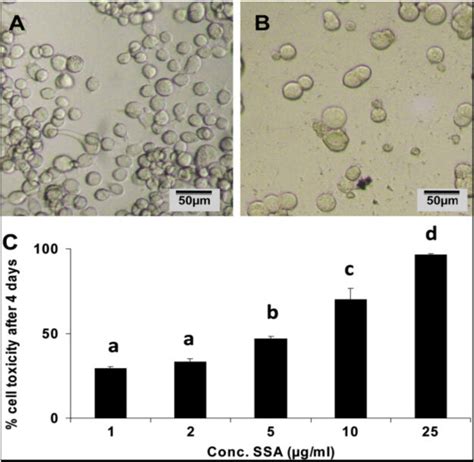 Effect Of Different Concentrations Of Ssa On Insect Midgut Cf 203