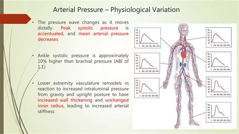 Vascular Laboratory Arterial Physiologic Assessment And Arterial Duplex