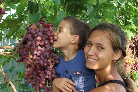 Департамент екології та природних ресурсів Дніпропетровської ОДА 🔥Спалювання сухих рослинних