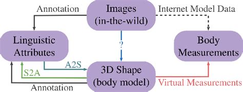 Table 1 From Accurate 3d Body Shape Regression Using Metric And