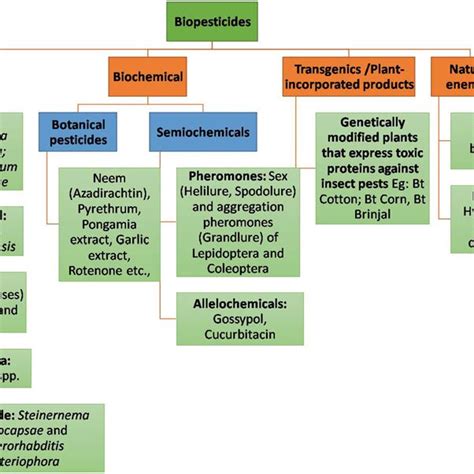 1 Classification Of Biopesticides Download Scientific Diagram