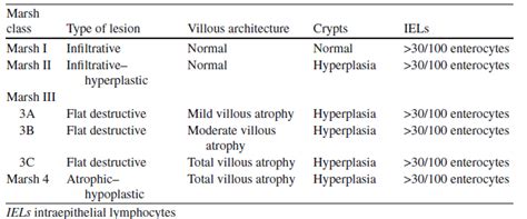 Clasificaciones En Gastroenterología Gastro Mérida