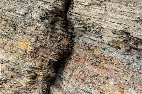 Most Of The Rocks Exposed At The Surface Of Earth Are Sedimentary Rock