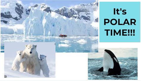 Ideas For Teaching Polar Functions In Ap Calculus — Calc Is Life Just Du It