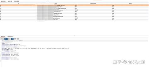 一个扫描常见敏感目录的burpsuite插件 知乎