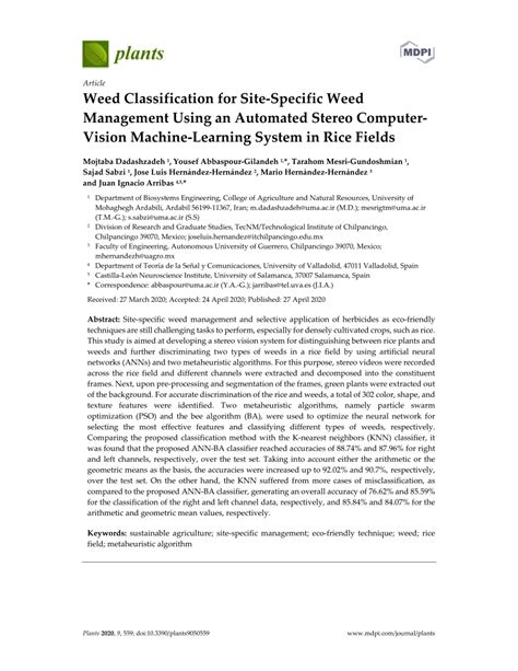 Pdf Weed Classification For Site Specific Weed Management Using An Automated Stereo Computer