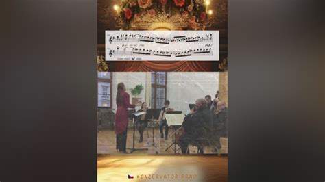 차이코프스키 🇨🇿 세레나데 네이버 Tv