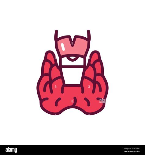 Thyroid Gland Color Line Icon Isolated Vector Element Stock Vector