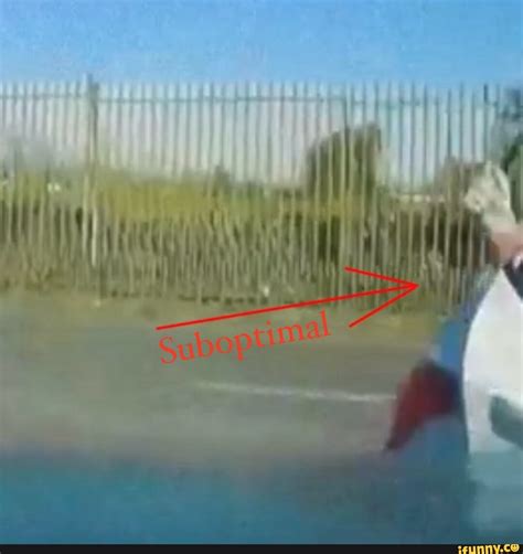 Suboptimal Memes Best Collection Of Funny Suboptimal Pictures On Ifunny