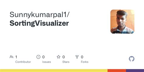 Github Sunnykumarpal1sortingvisualizer