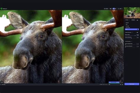 DeNoise AI V3 6 Updated RAW Model Refreshed File Saving Experience