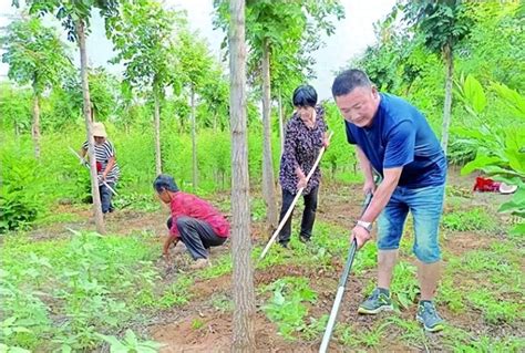 双争有我365百姓故事汇扎根田野 带富乡亲 张艳涛 发展 种植