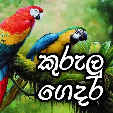 කුරුලු ගෙදර Kurulu Gedara