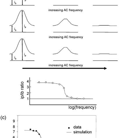 6 A Ac Voltammetry Wave Form Showing The Oscillating Component Of Download Scientific