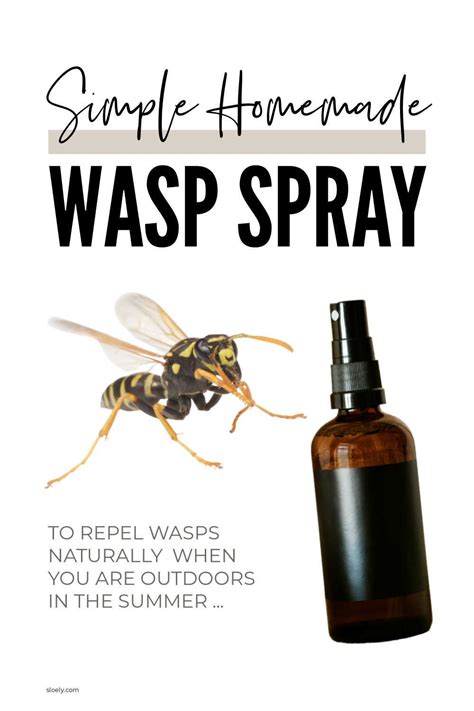 7 Ways To Get Rid Of Wasps Artofit