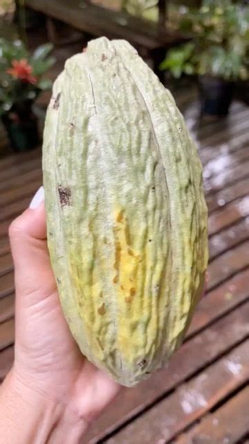 TUTORIALS DIY RECIPES On Instagram How Cocoa Is Made Stickaforkinme Diy Food Recipes