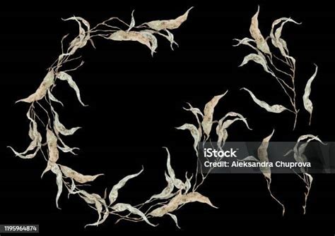 라곰 가을 유칼립투스 화환 결혼식 및 이벤트 초대를위한 수채화 실버 유칼립투스 라운드 프레임 흰색 배경에 격리된 녹지 설정