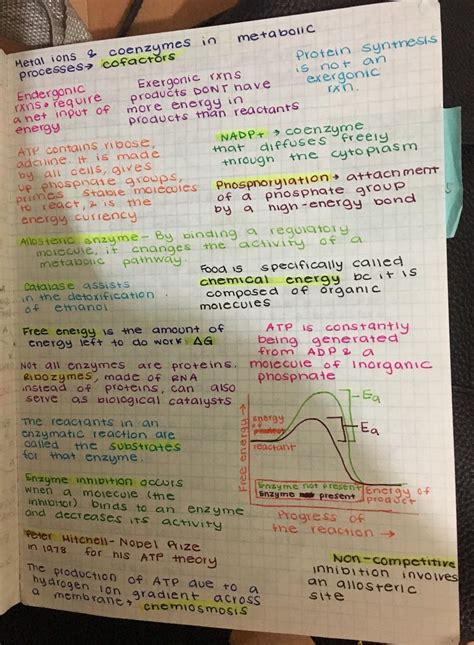 Notes From The 11th Grade R PenmanshipPorn