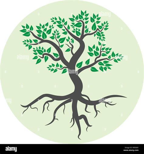 Tree Outline With Roots And Branches