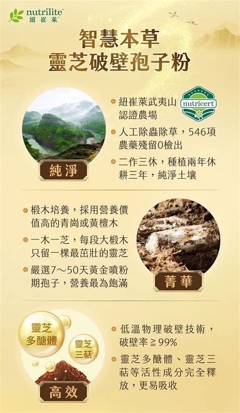 靈芝破壁孢子粉 Ishare 數位內容中心