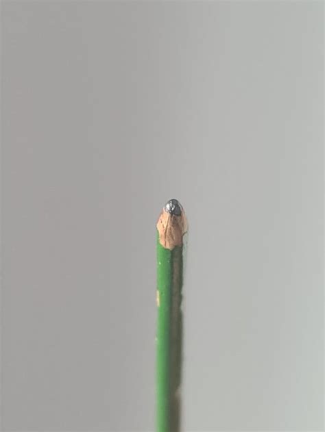 This Tiny Pencil Ive Had For Years And Dont Know How I Got R Interesting