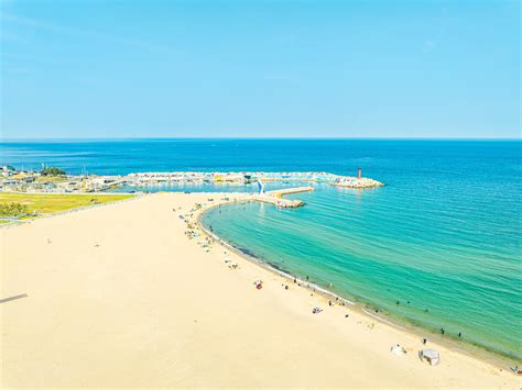 미국대두협회 미국산 대두는 고품질 단백질을 비롯해 우리 몸에 다양한 영양소를 공급합니다 미국은 대두가 성장하기에 최적의 토양과 기후를 가지고 있어 영양소가 풍부한