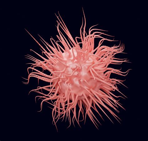 Blender书架模型 Blender布的