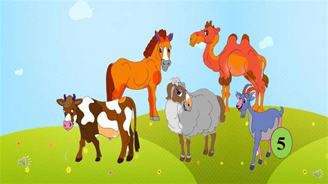 Мэдлээ Цахим контент