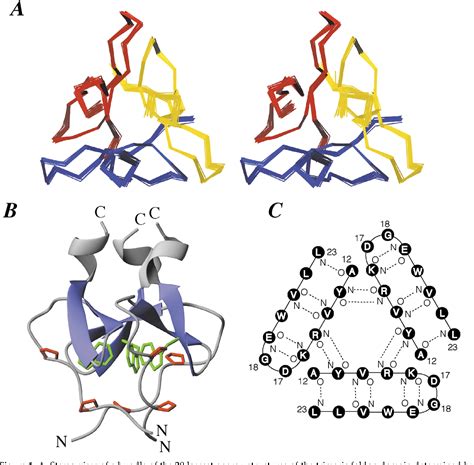 [pdf] Very Fast Folding And Association Of A Trimerization Domain From Bacteriophage T4 Fibritin