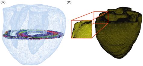 Tensor Field And Finite Element Mesh A Short Axis Slice Of The Download Scientific Diagram