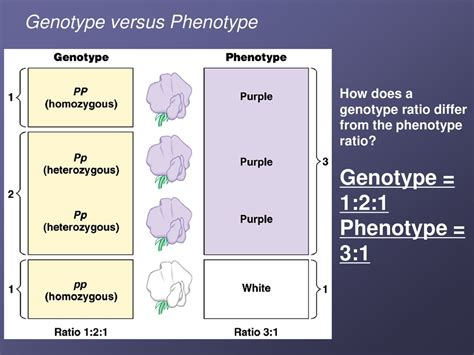 Living Environment Mrs Unislawski Ppt Download
